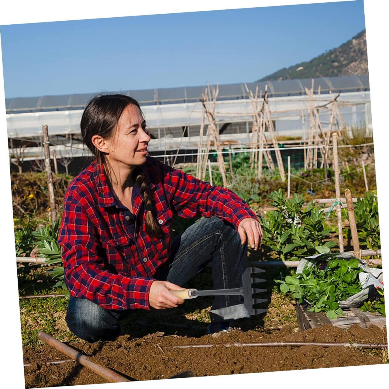 Five Tooth Rake Held Rake Review - Japanese Garden Craft