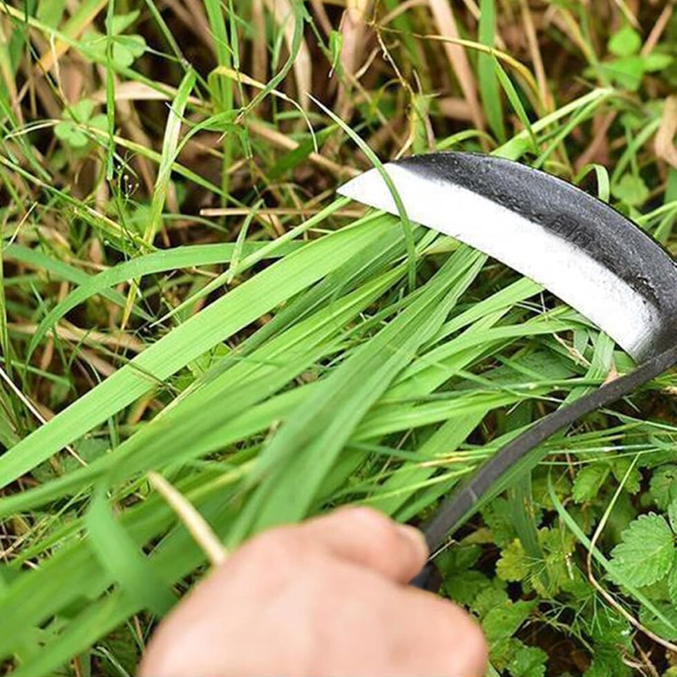 Kana Hoe 217 Weeding Tool Review - Japanese Garden Craft